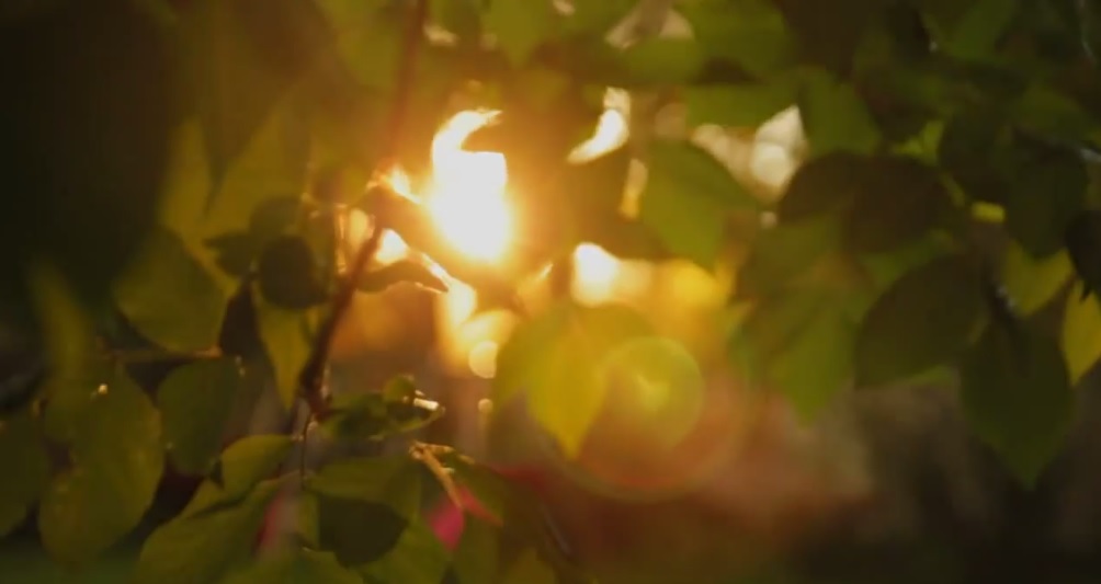 Hi! I’m Holly, The Mormon Soprano – Latter-day Soprano